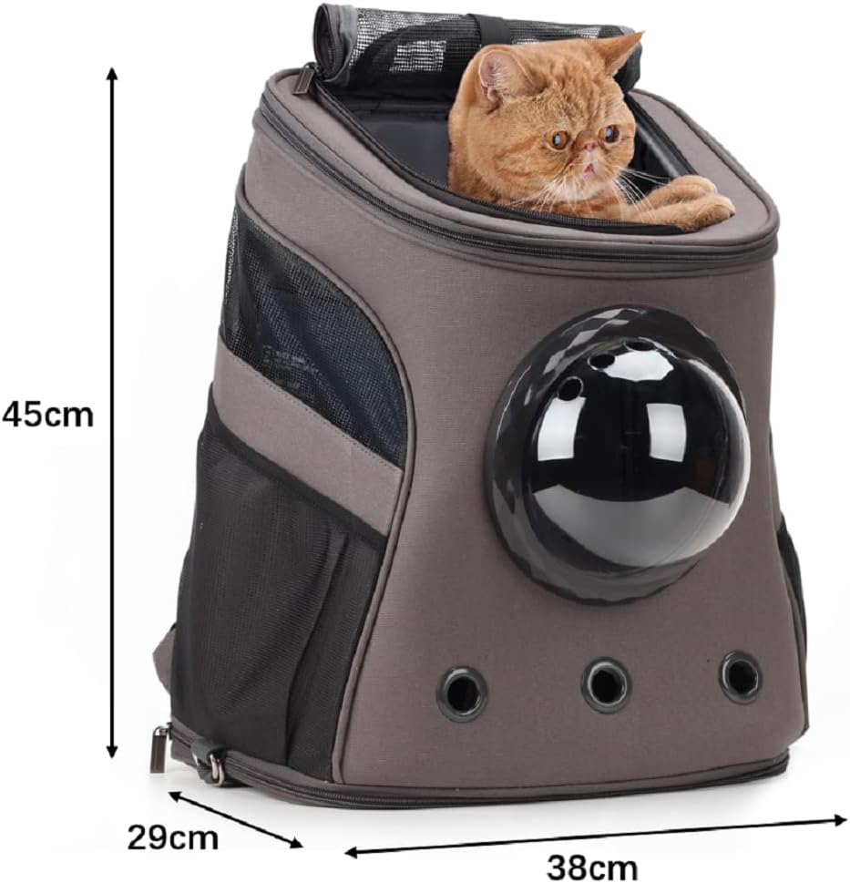 5 Best Cat Carrier Backpack: The Best Way To Get A Cat In A Carrier ...